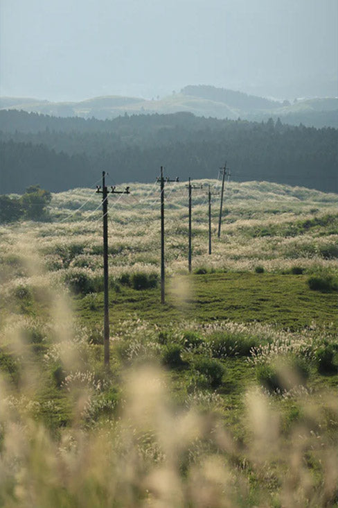 Ichi Antiquités, Paris - Journal | Oroboro Store, NYC • New York, NY
