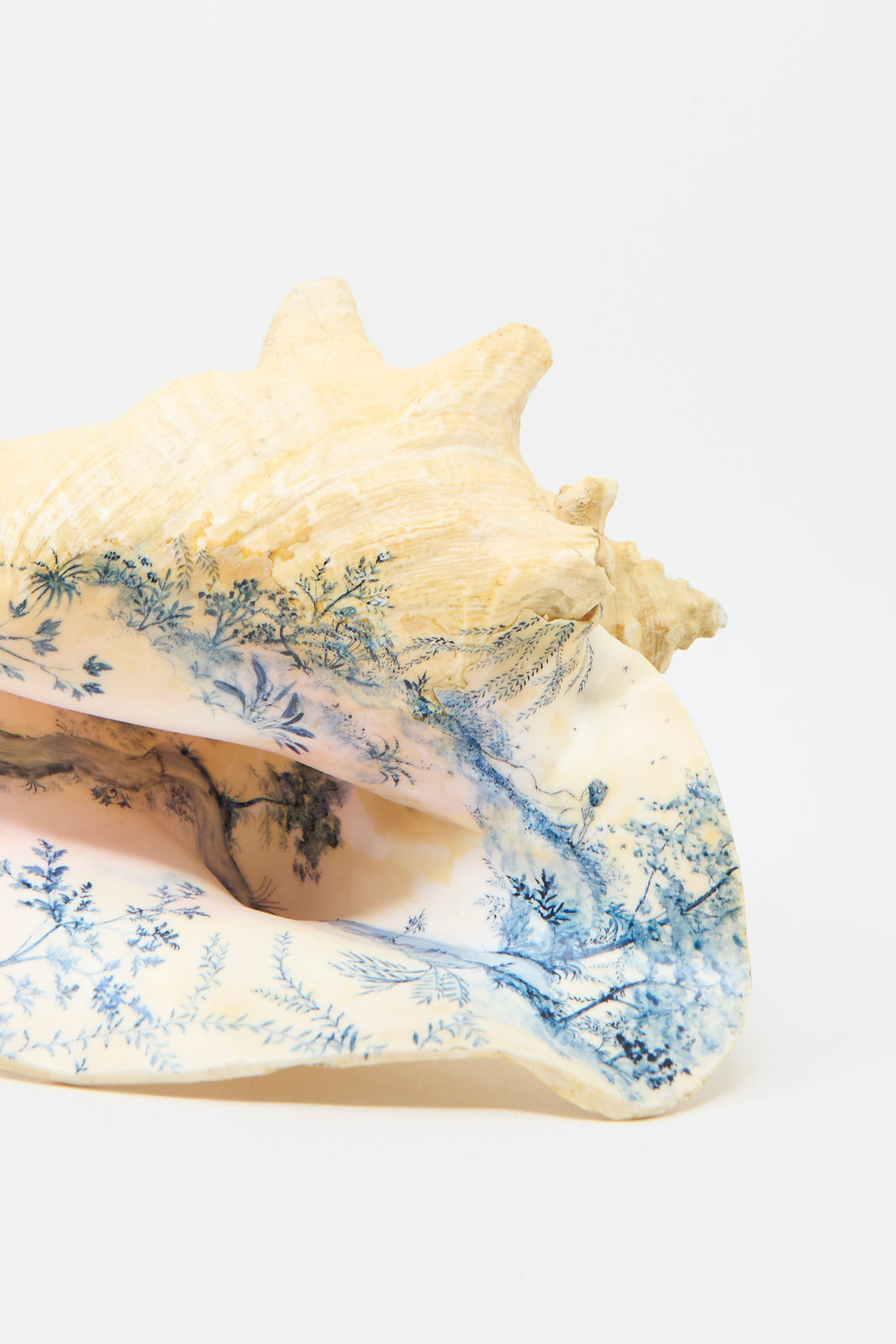 Alyssa Goodman | Oroboro Store, New York, New York • New York, NY