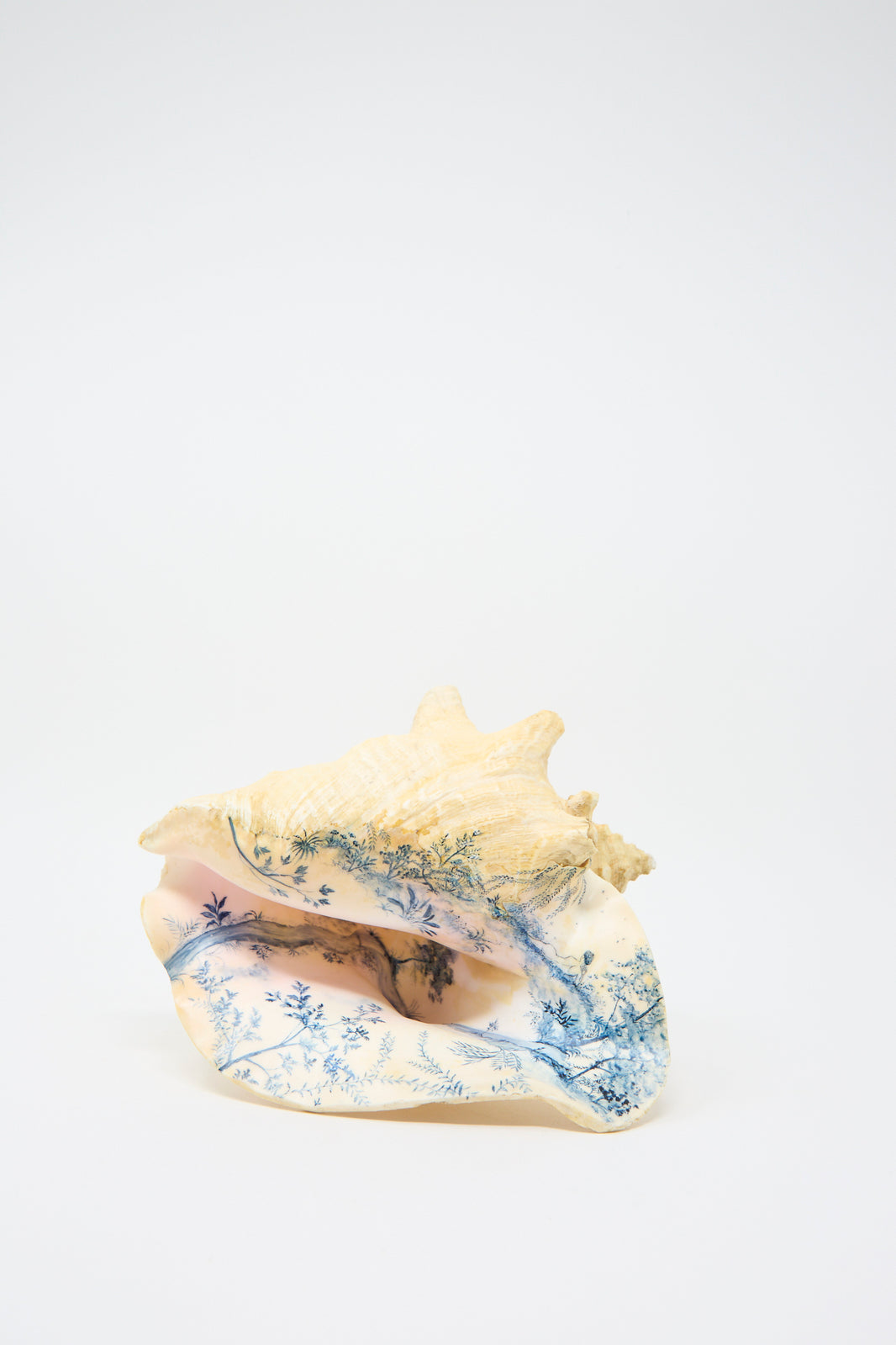 Alyssa Goodman | Oroboro Store, New York, New York • New York, NY